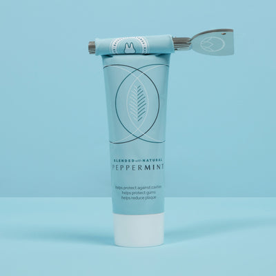 Toothpaste Squeezer Key | Waken Mouthcare